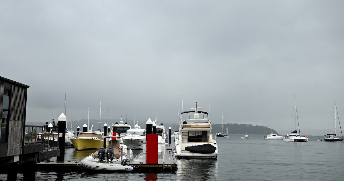 Une femme attaquée par un requin dans le célèbre port de Sydney | Faits ...