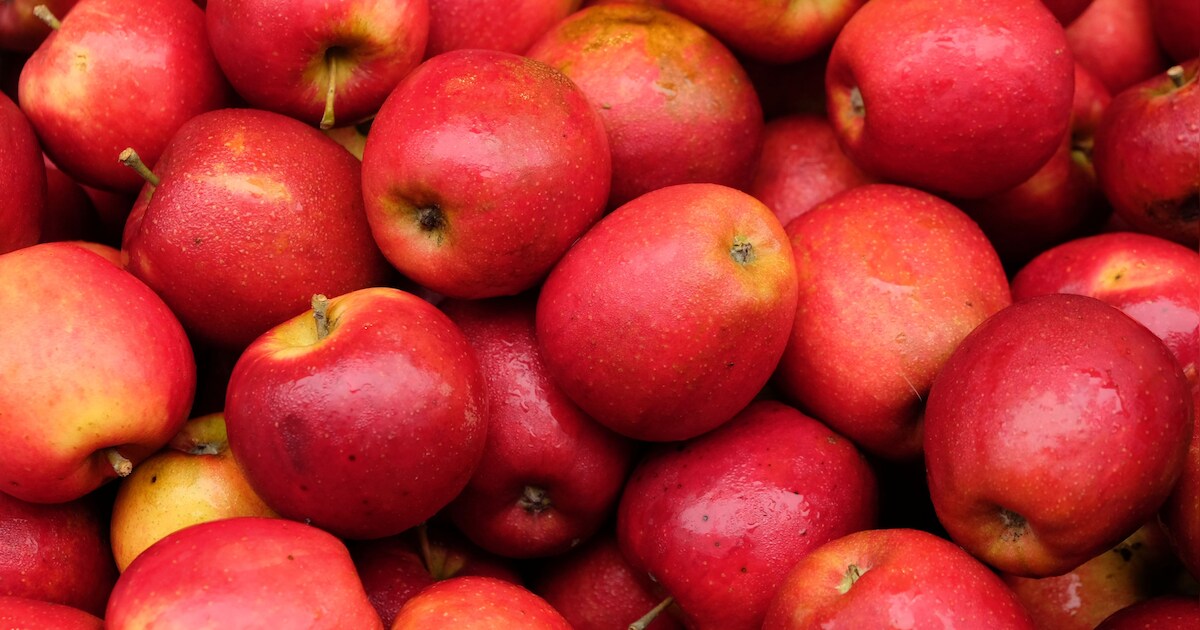 Plus de trois quarts des pommes contaminées par “des cocktails de ...