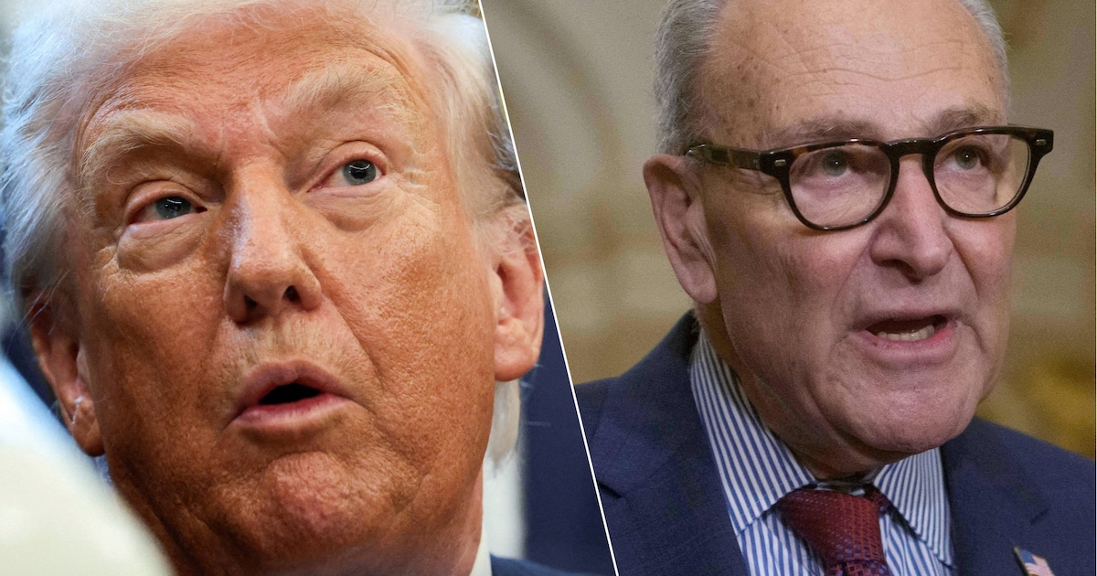 Comment les démocrates veulent bloquer les droits de douane de Trump ...