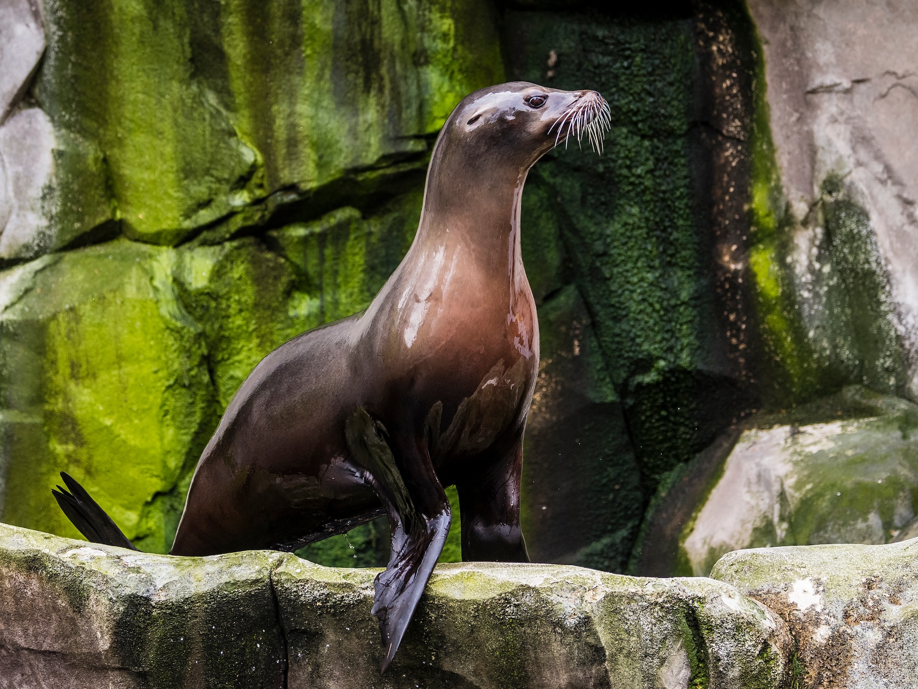 Jamel témoin d’une scène irréelle en plein coeur de Paris: “Cette ville ...