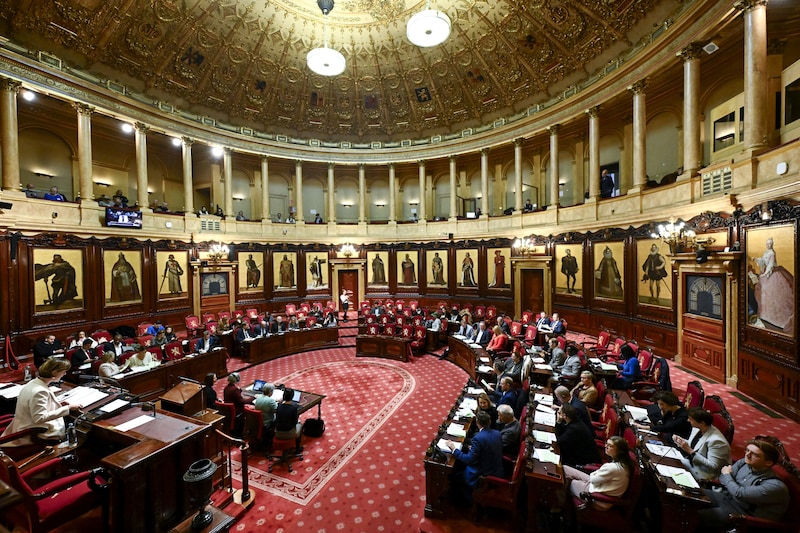 Le Sénat devrait être supprimé: mais combien cela rapportera-t-il ...
