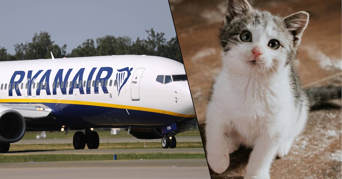 Un Boeing de Ryanair cloué au sol pendant deux jours à cause... d’un ...