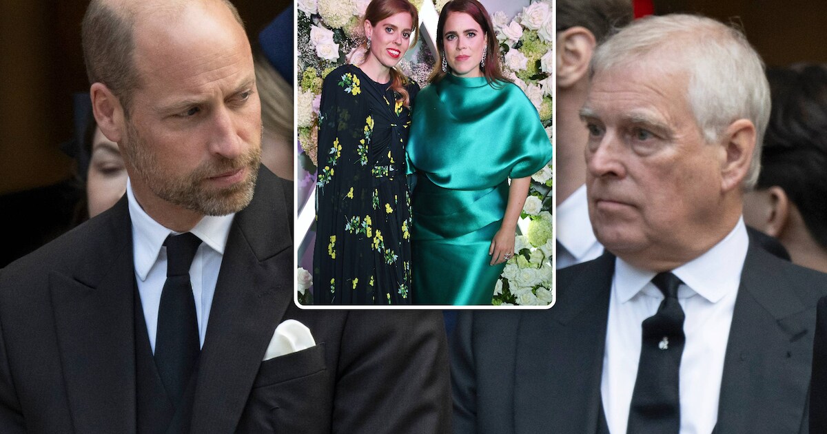 “William a touché la corde sensible”: pourquoi le prince Andrew accepte ...