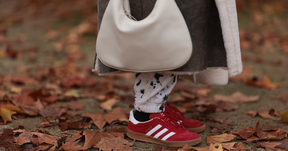 Esclavage moderne et déforestation: la sombre vérité derrière les ...