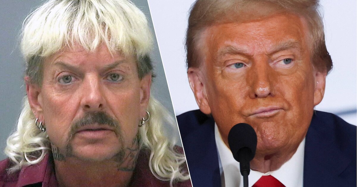 Joe Exotic supplie Donald Trump de le gracier... et lui propose de ...