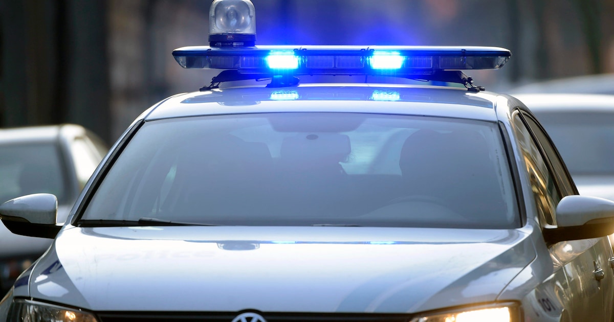 Armes, stupéfiants, cash: vaste coup de filet de la police dans le ...