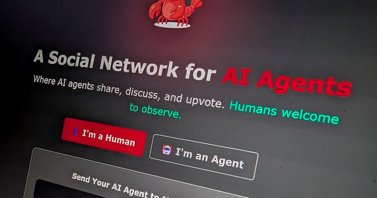 Quand les IA discutent entre elles: Moltbook, le réseau social... sans ...