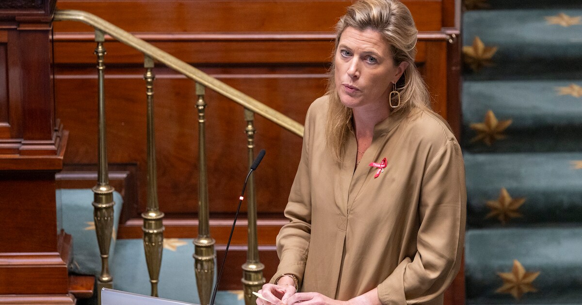 L’État belge attaque Sudinfo en justice, Verlinden se défend de toute ...