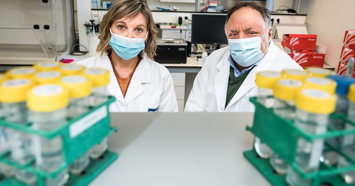 “C’est surprenant”: un laboratoire louvaniste enregistre les plus ...