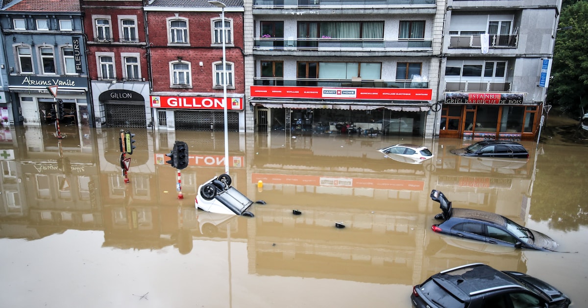 Inondations en Wallonie: l’ULiège a créé un guide des bonnes pratiques ...