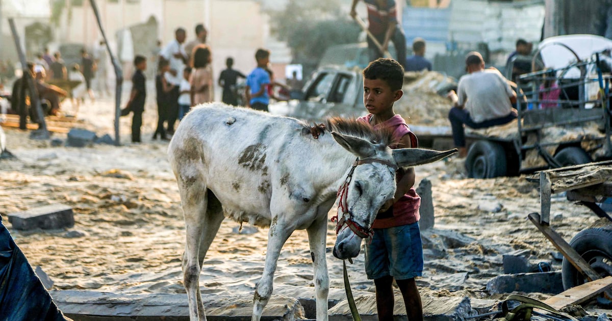 Comment l’aéroport de Liège se retrouve à accueillir des transports ...