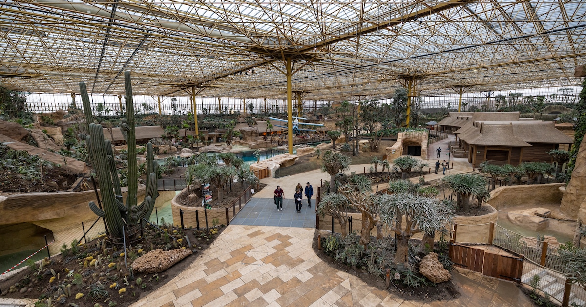 Pairi Daiza dévoile les secrets d’Edenya, la plus grande serre ...