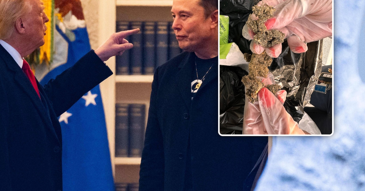 “Une scène apocalyptique”: l’équipe d’Elon Musk laisse des bureaux ...