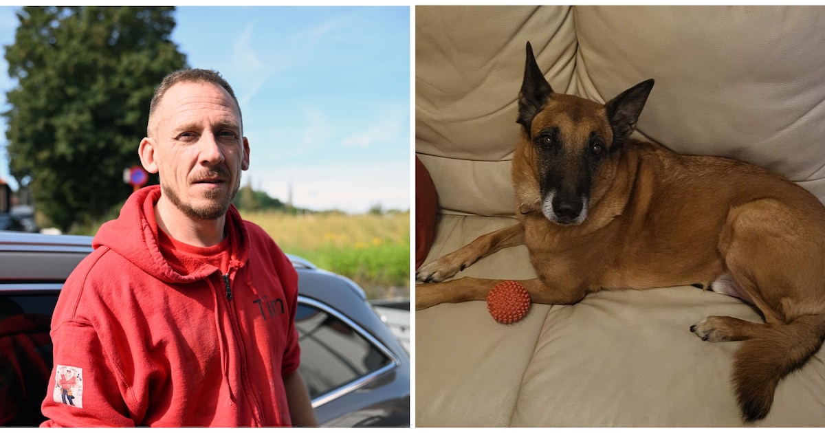 Il met son cambrioleur hors d’état de nuire: “Il m’a demandé de ne pas ...