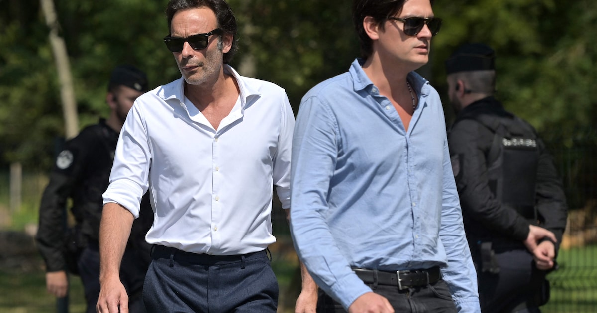Anthony et Alain-Fabien Delon condamnés après la diffusion d’un ...