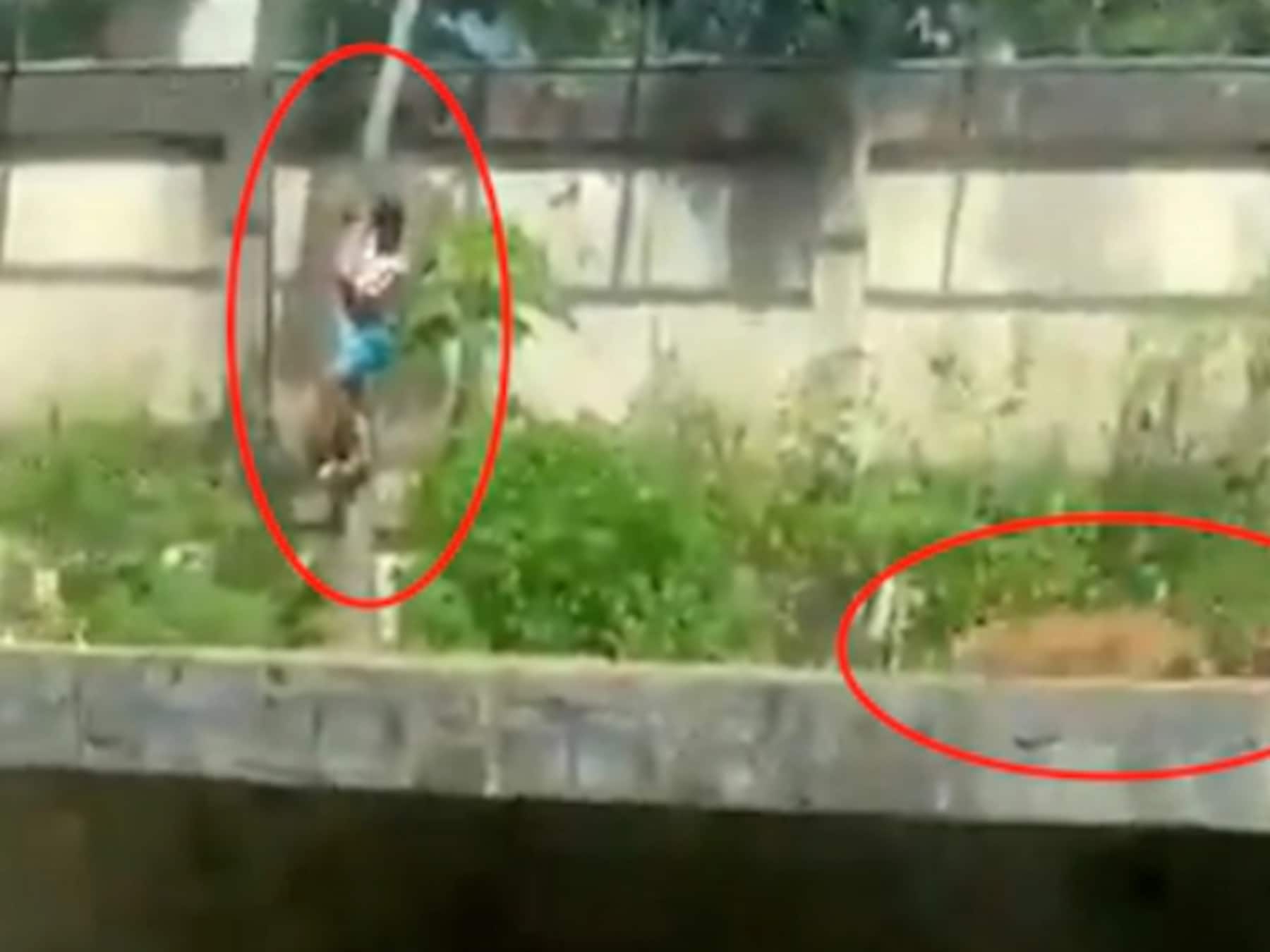 “Il rêvait de devenir dresseur”: un adolescent dévoré par un lion dans un zoo | 7sur7.be