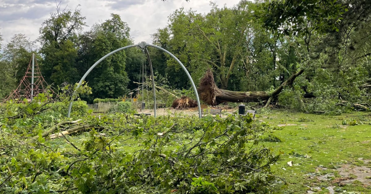 Un bébé décède lors des intempéries dans un parc à Uccle: le récit ...
