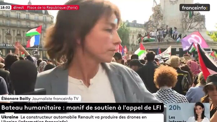 “Facho”: une journaliste de Franceinfo agressée en plein direct | Télé ...