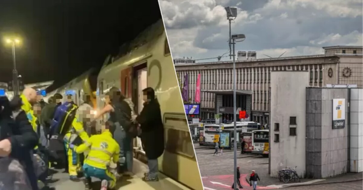 Une bagarre éclate à la gare d’Hasselt: trois personnes blessées | 7sur7.be