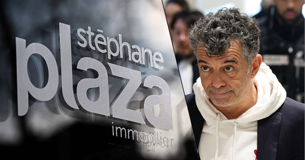 Condamné pour violences conjugales, Stéphane Plaza tente désormais de ...