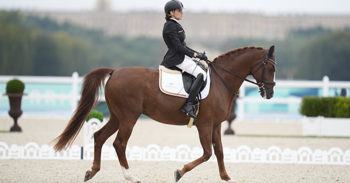 Barbara Minneci termine 7e du Grand Prix en para-dressage et se ...