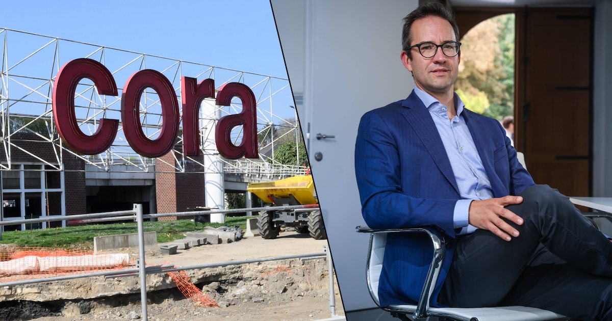 Le groupe Louis Delhaize aura “besoin d’années pour digérer” la ...