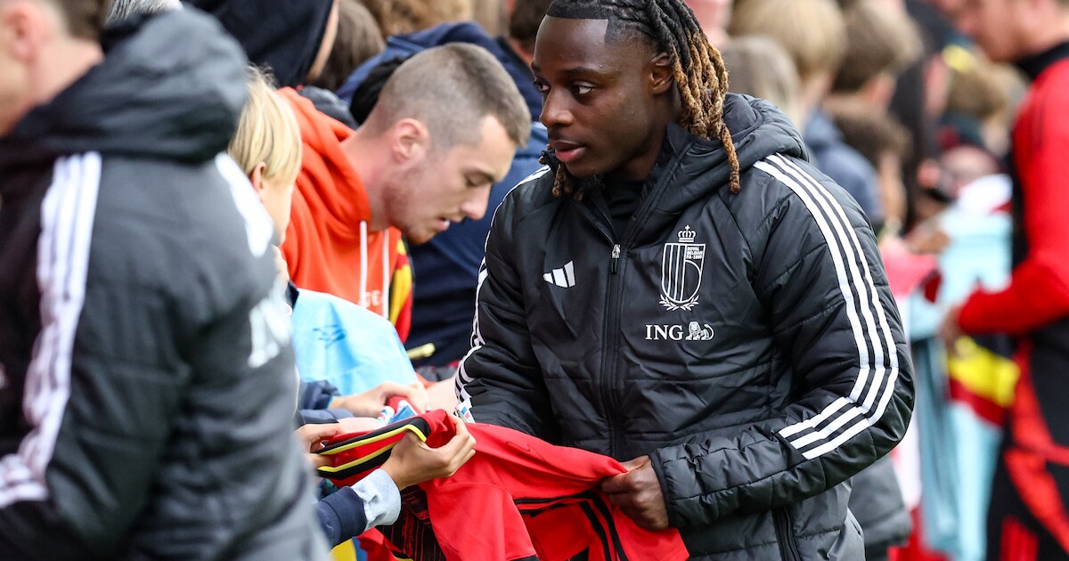 Quelque 850 supporters ont salué les Diables Rouges à Tubize | 7sur7.be