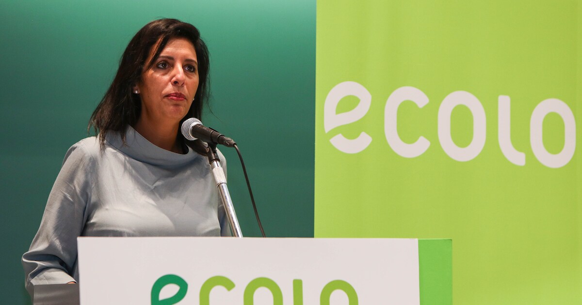 Le Gerfa dénonce la particratie au sein de la Cour constitutionnelle et ...