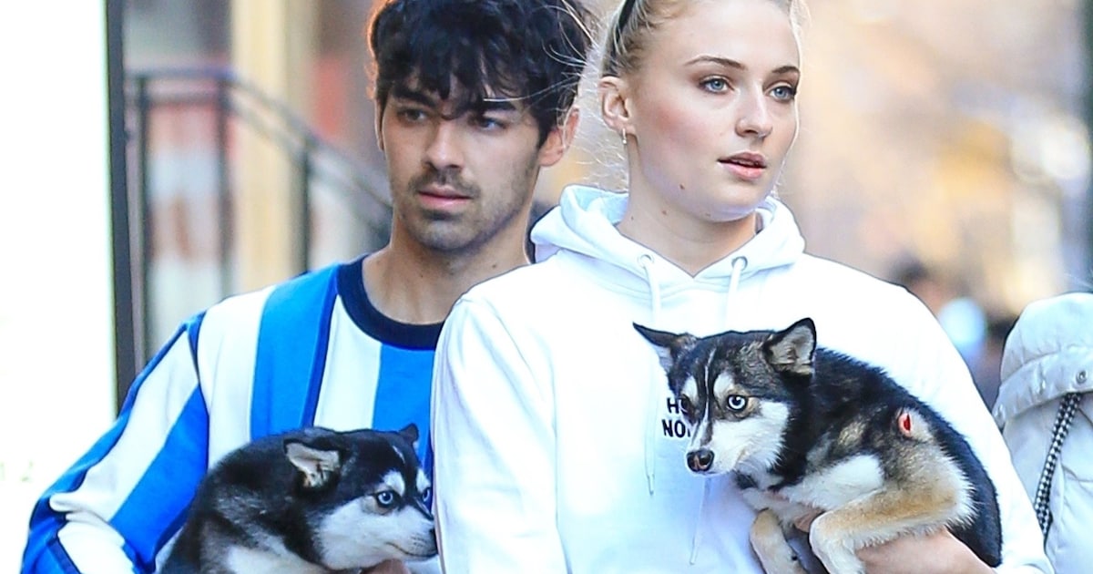 Sophie Turner et Joe Jonas s’offrent un tatouage en hommage à leur ...
