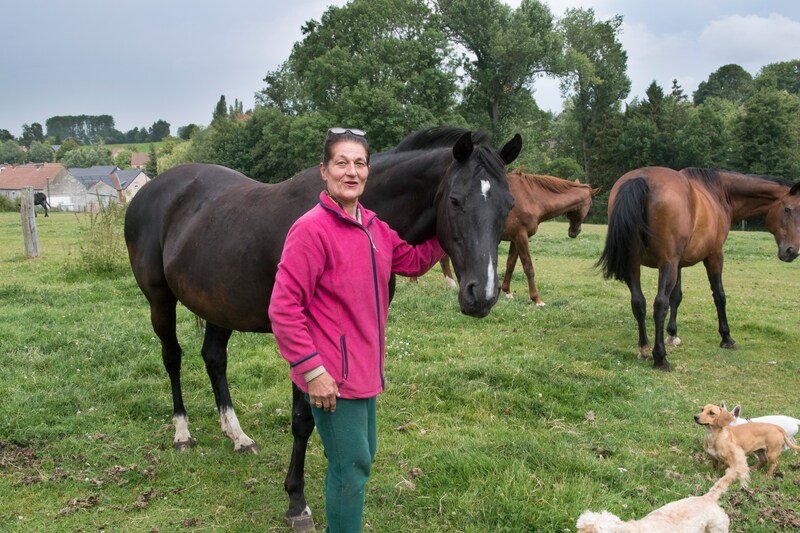 266 animaux saisis: la comtesse du Monceau à nouveau devant le tribunal ...