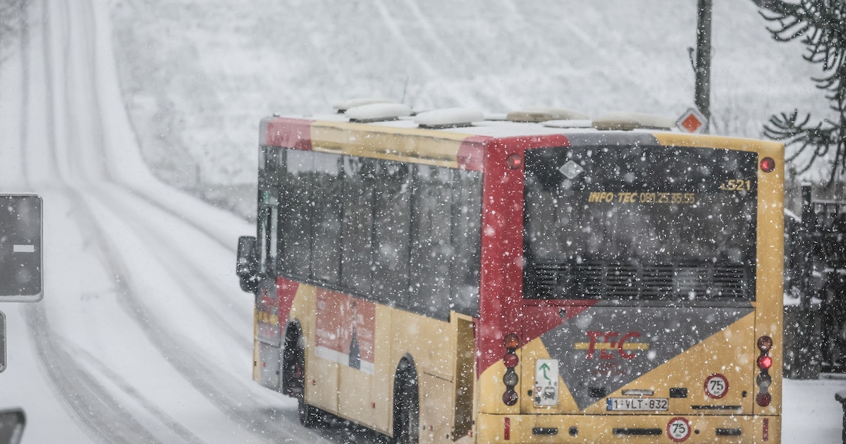 Les bus Tec à l’arrêt dans plusieurs provinces - les dernières ...