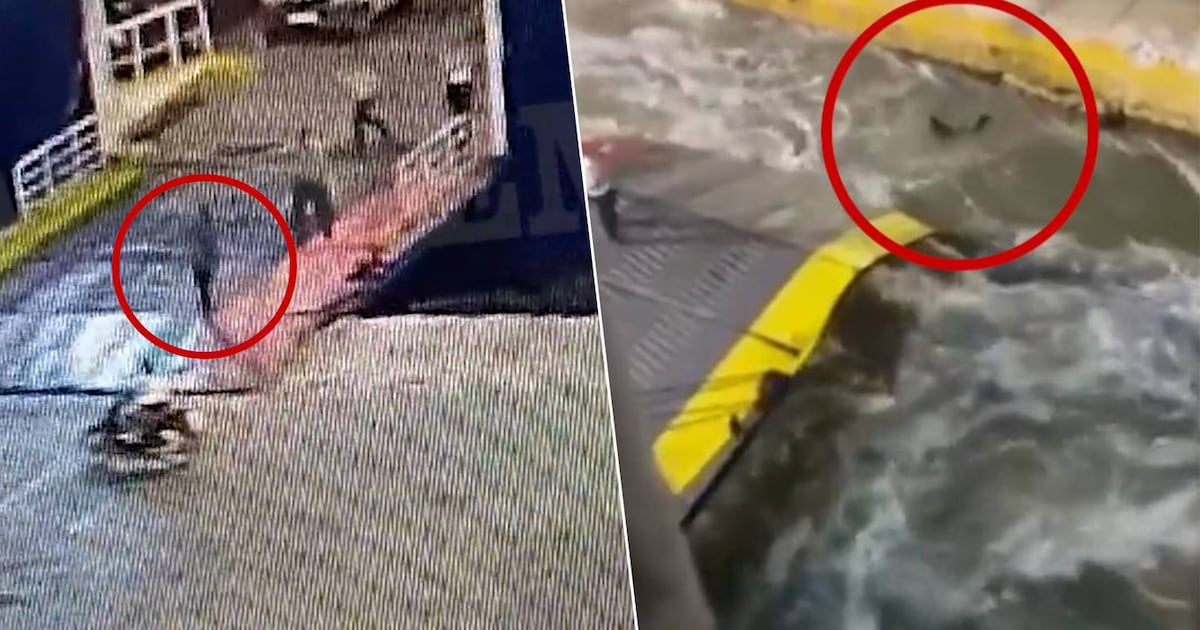 Les marins grecs en grève après “la mort tragique” d'un passager jeté à ...