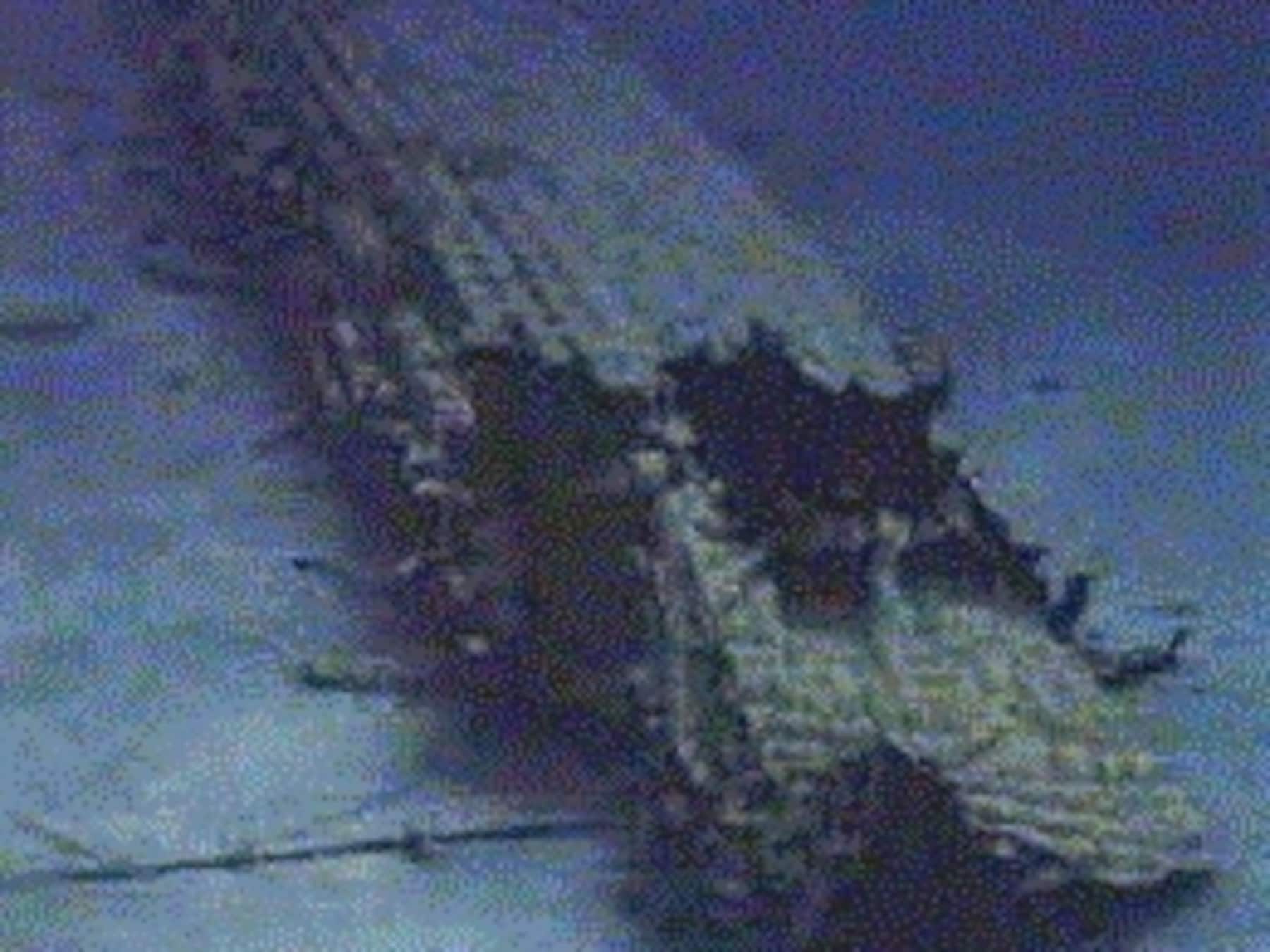 Le Fin Shop vend aux enchères des... chevaux de concours saisis | 7sur7.be