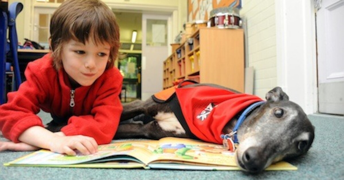 Danny, le chien de lecture | 7sur7.be