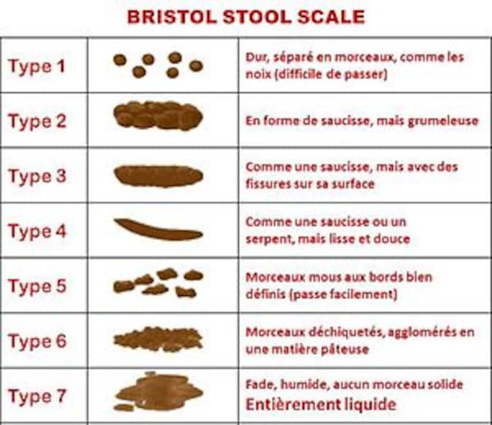 Molles, dures... Que révèlent vos selles sur votre santé et quand faut ...