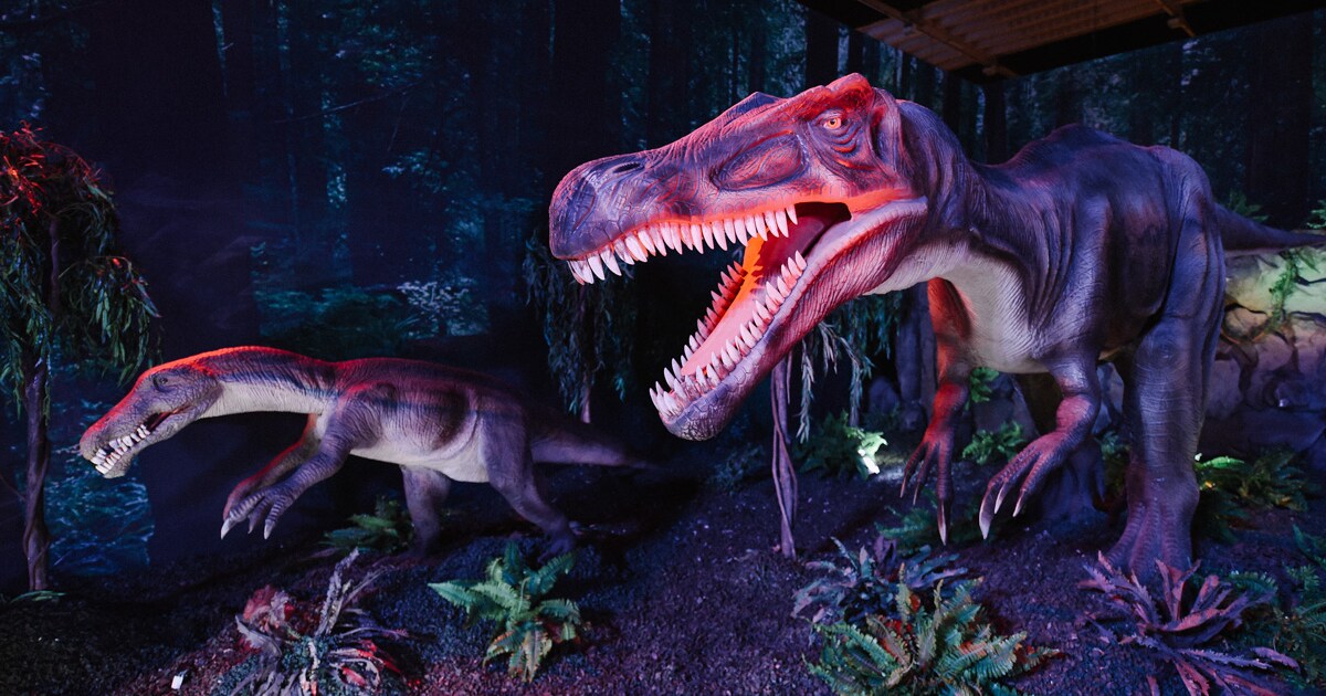 Plongée grandiose dans le monde des dinosaures à Brussels Expo | 7sur7.be