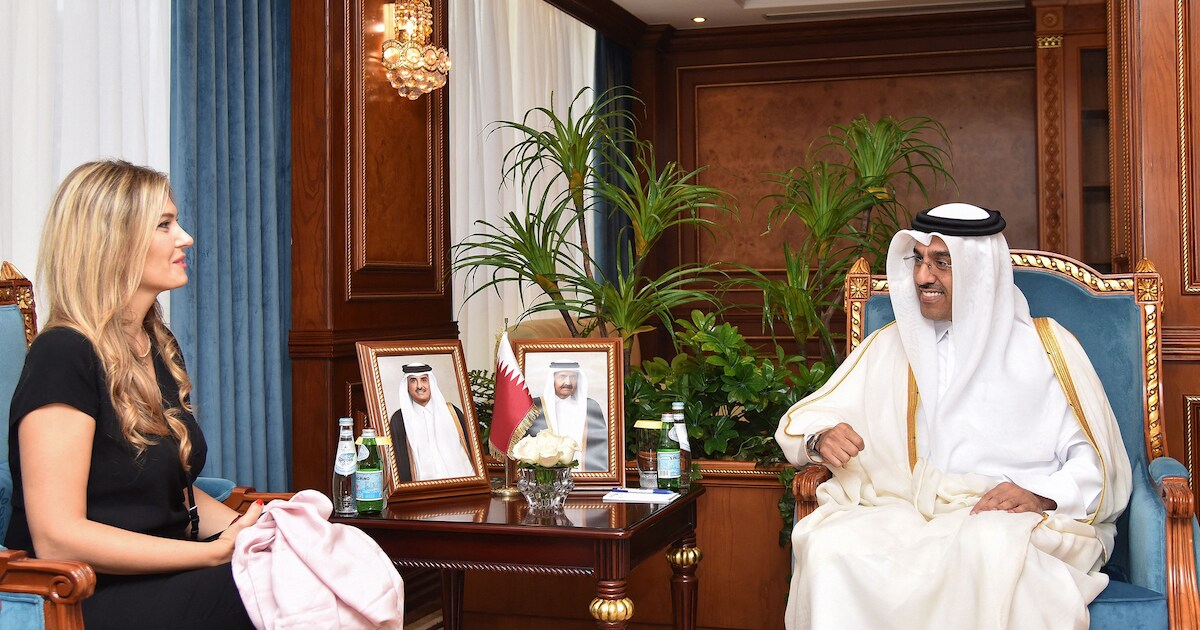 La Belgique aurait épargné un ministre qatari visé par le Qatargate pour libérer Olivier ...