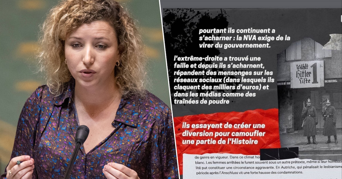 Une collaboratrice de Sarah Schlitz associe la N-VA aux nazis: la ...