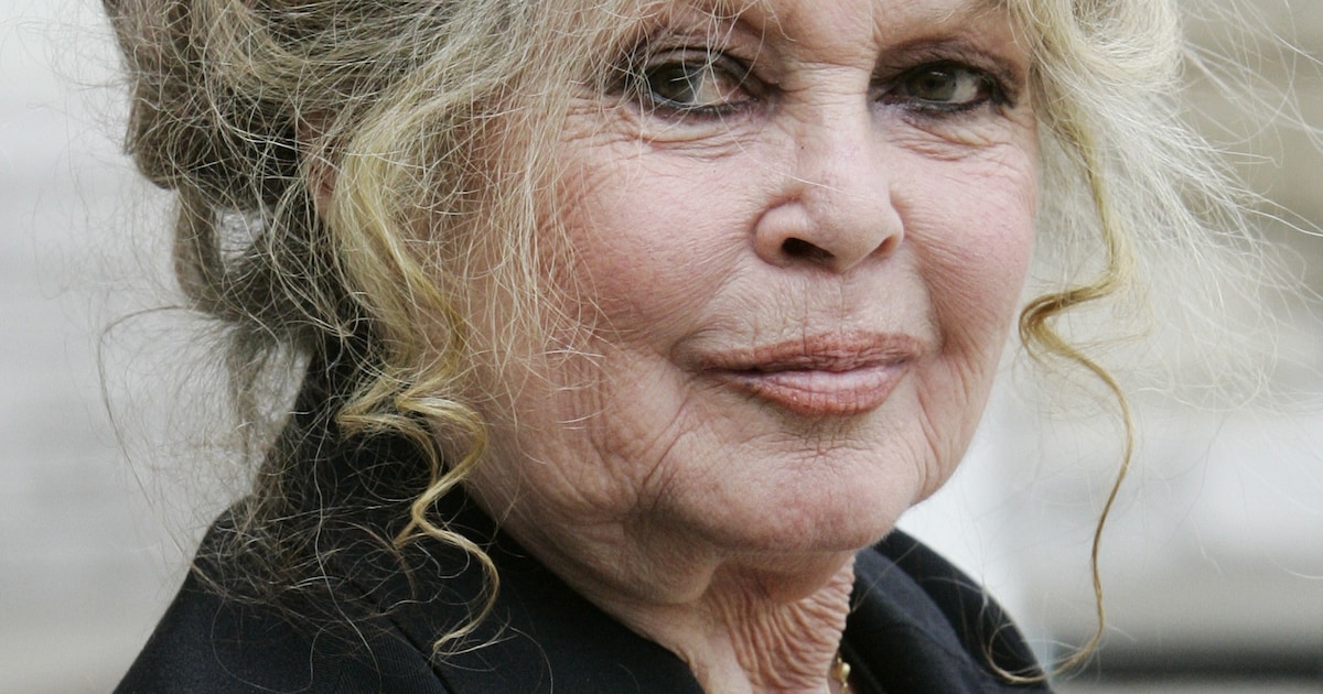 Brigitte Bardot prise en charge par les pompiers après des difficultés ...