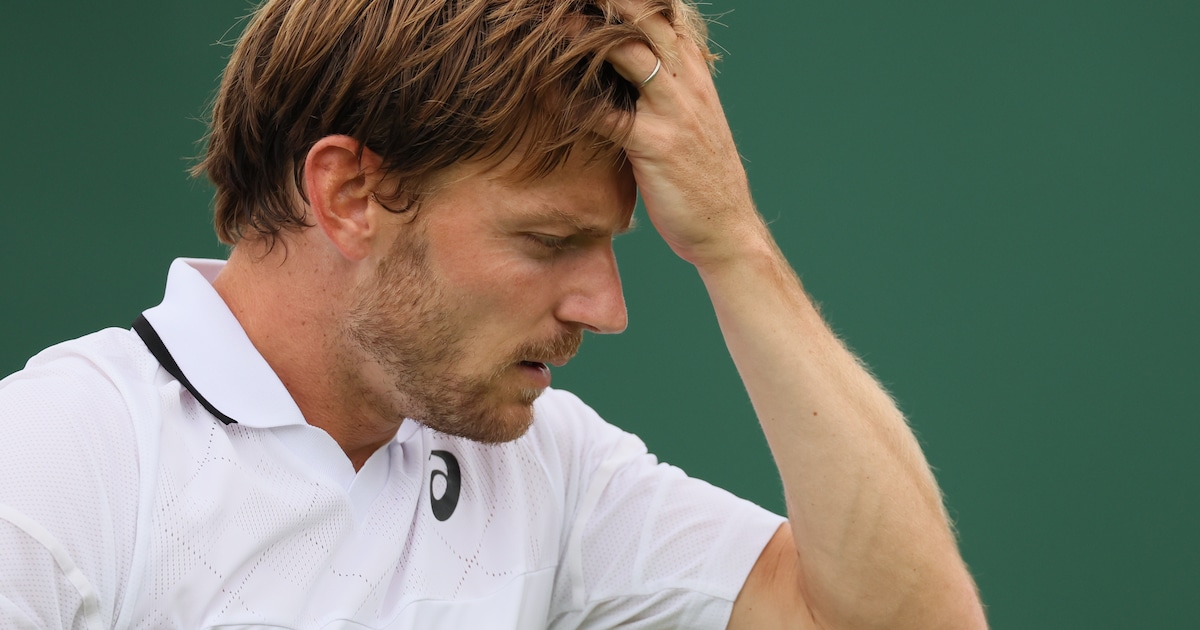 Cruelle désillusion pour Goffin: le Liégeois renversé par Machac au ...