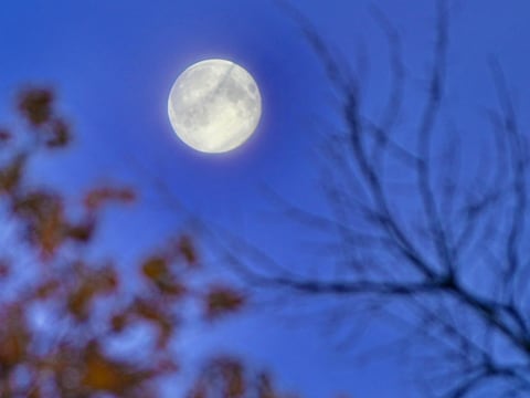 La Russie veut construire une centrale nucléaire sur la Lune d’ici dix ...