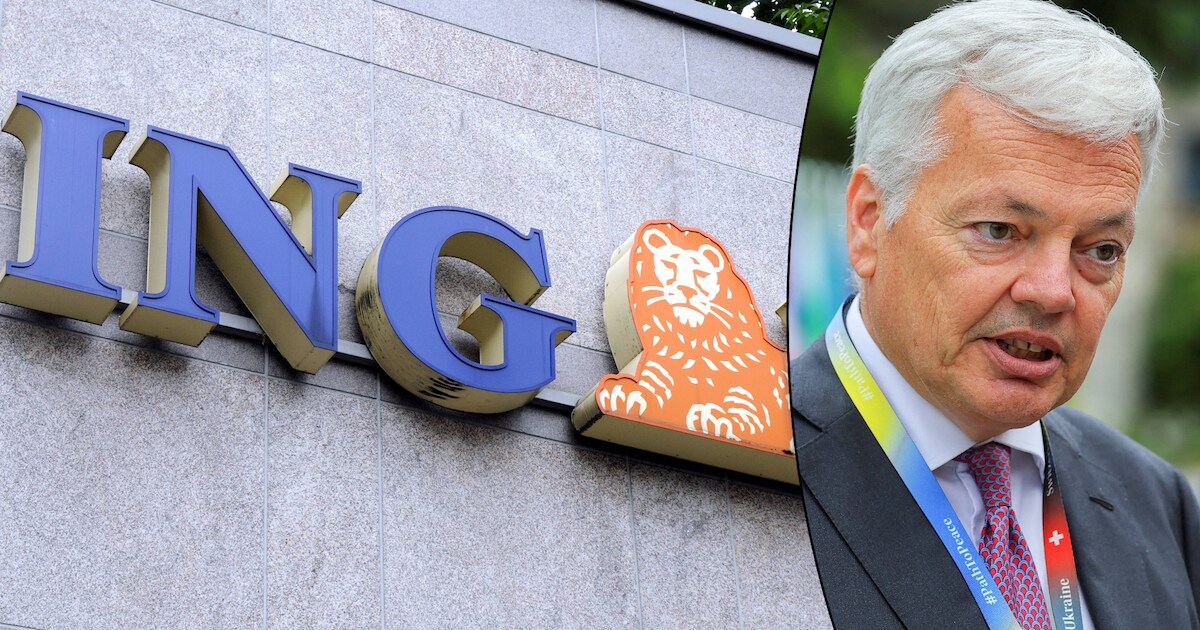 Affaire Reynders: le secteur bancaire, dont ING, va être entendu à la ...