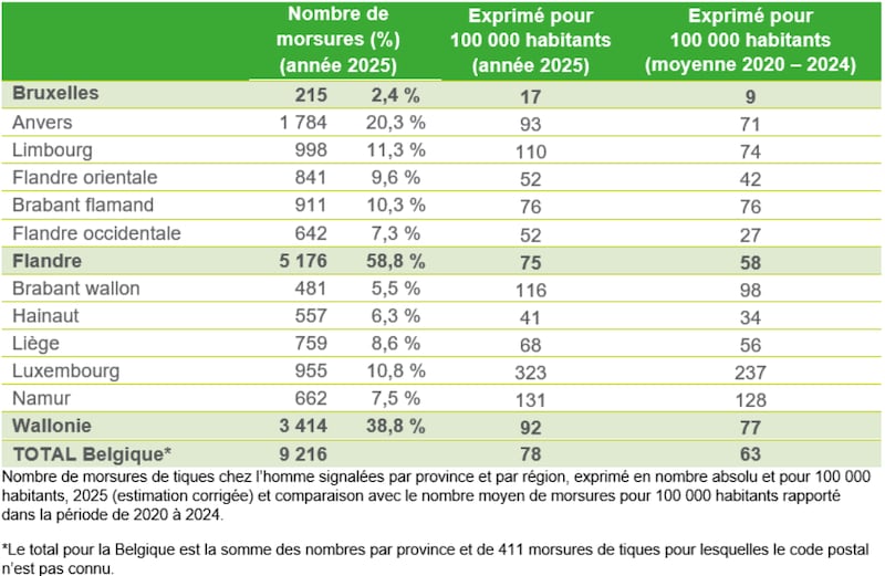 Le nombre de morsures de tiques en forte augmentation: voici les ...