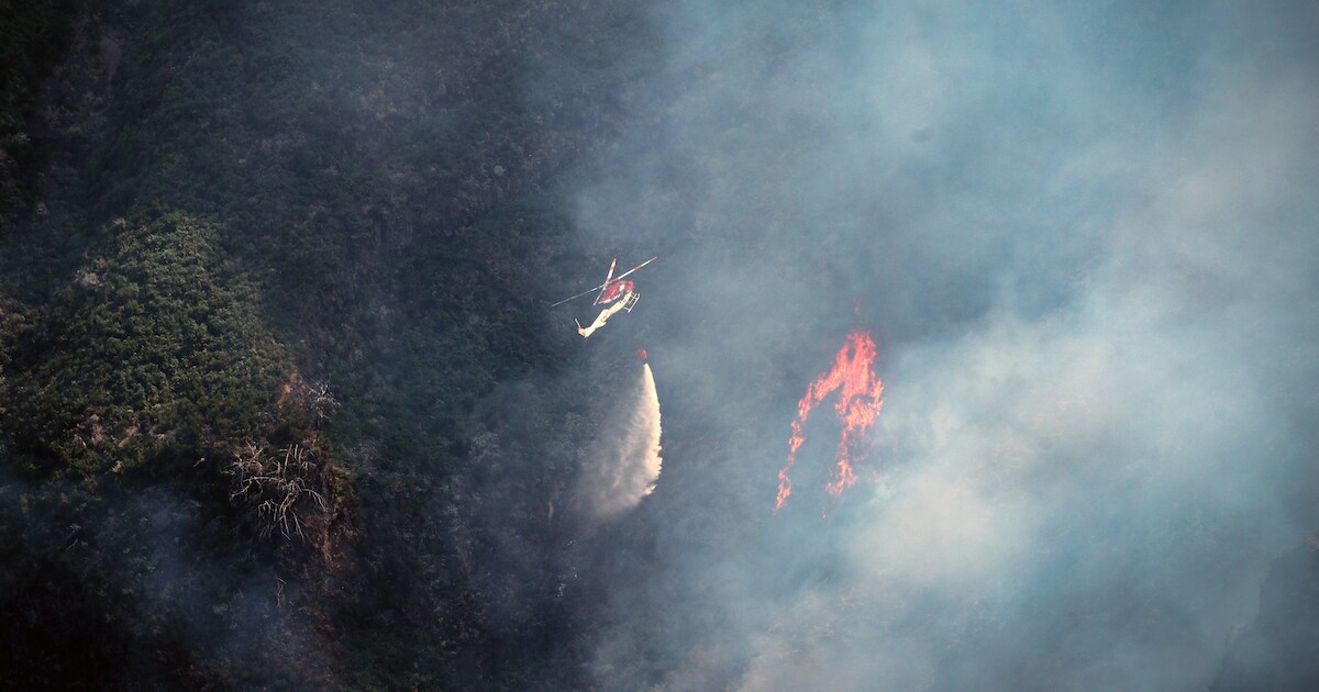 L’UE envoie deux Canadair pour faire face au feu de forêt à Madère ...