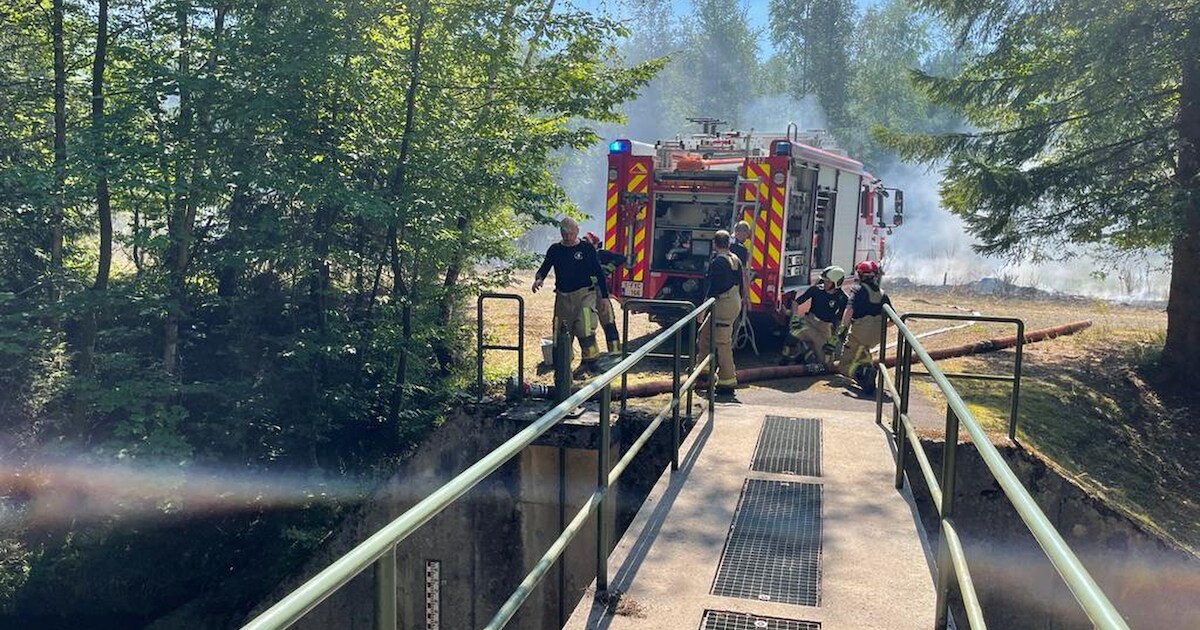 Un incendie causé par un barbecue ravage 1.500 m² de végétation près de ...