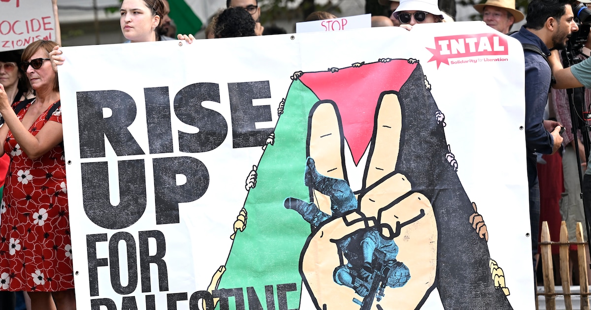 Rassemblement près du parlement fédéral pour soutenir la Palestine ...