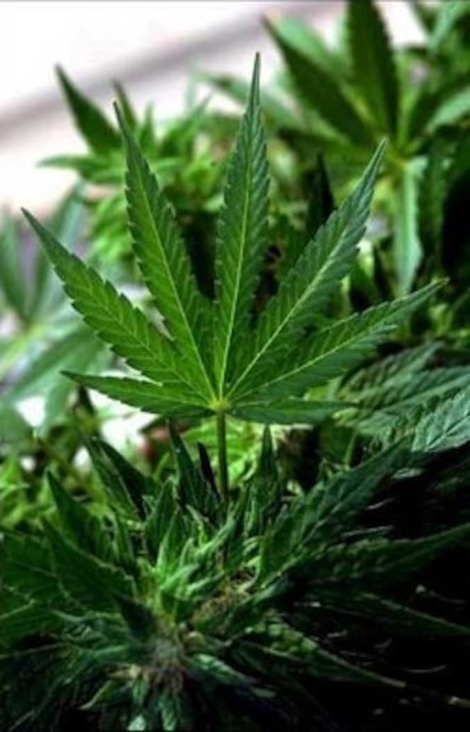 Quinze arrestations lors d'une opération anti-drogue à Liège | 7sur7.be