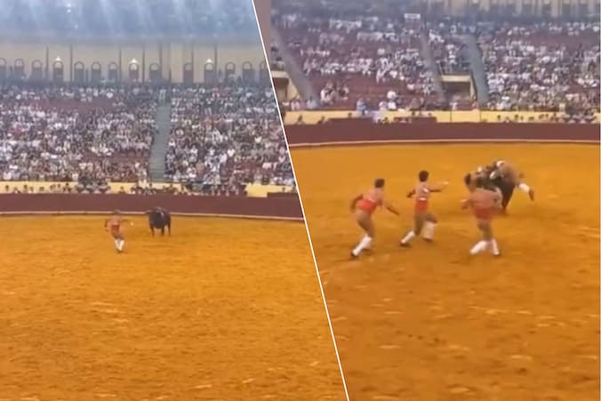Un jeune torero perd la vie lors de sa première corrida dans les arènes ...