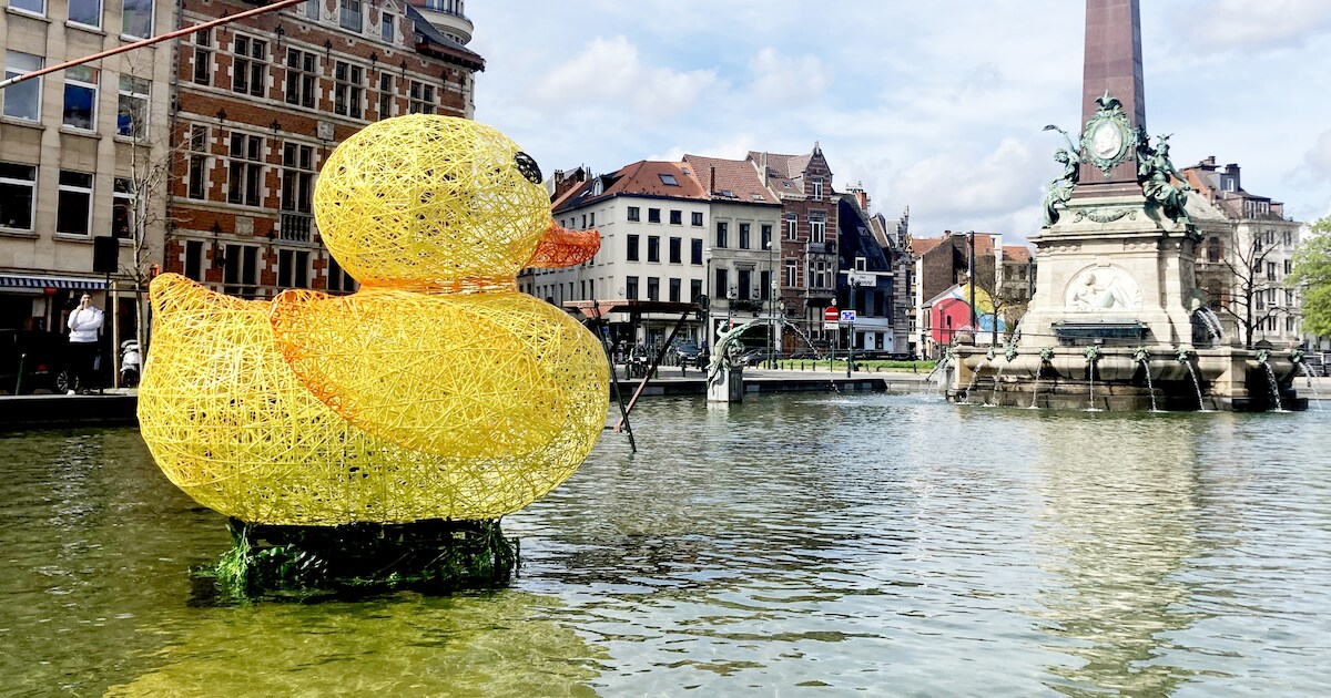 Des canards géants prennent leurs quartiers dans les bassins du Vismet ...