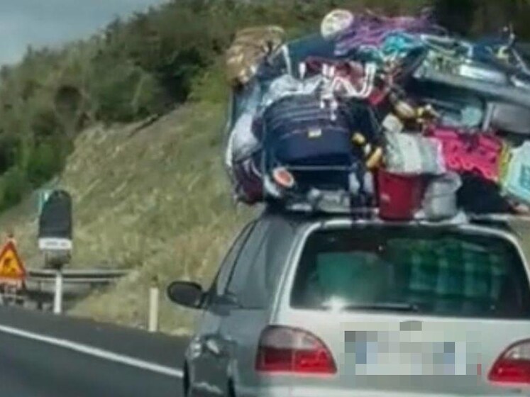 Marcel, le singe de Ross dans Friends, décroche un nouveau rôle | Télé ...